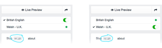Planning for a multi-language website | Supercool
